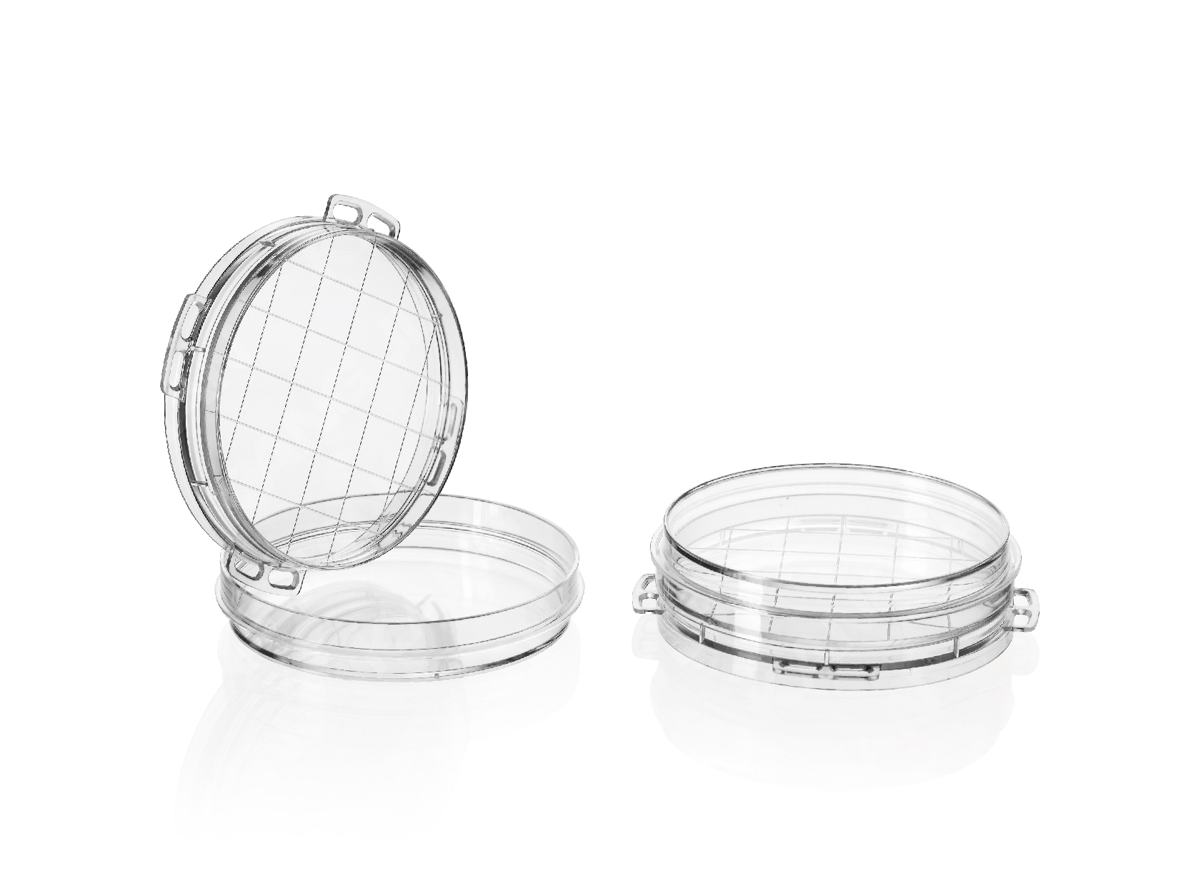 KJ508 5 Petri Dish Buy Petri Dish Jiangsu KANGJIAN Medical Apparatus kj508-5-petri-dish-buy-petri-dish-jiangsu-kangjian-medical-apparatus